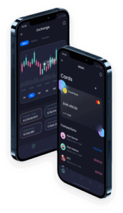 Best Mobile App Development Houston, TX - Octal Digital